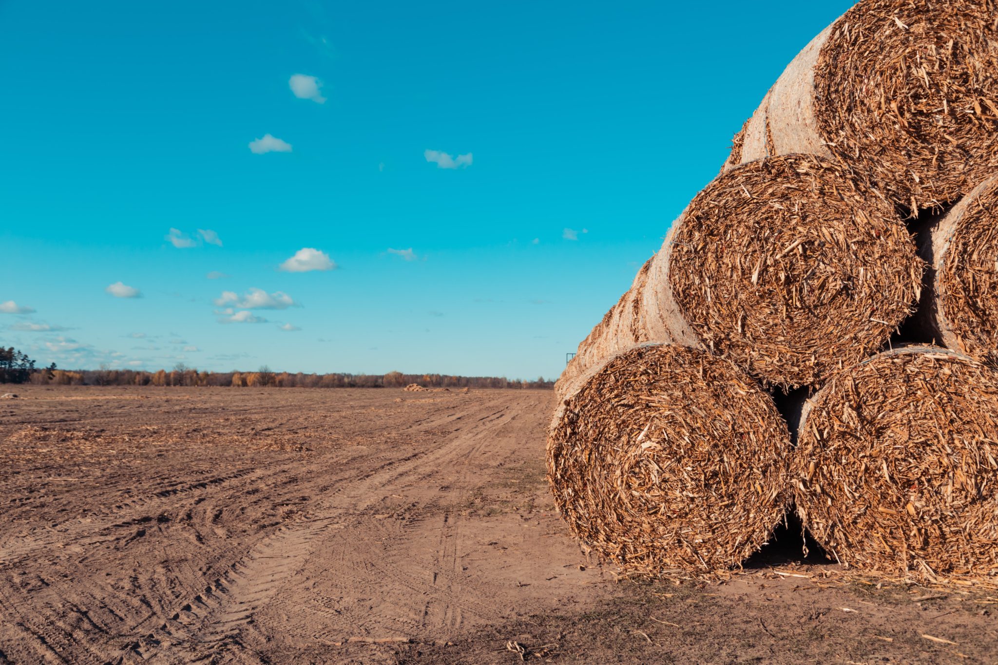 Analyse de fourrage | Nutriweb Conseils pour les éleveurs bovins